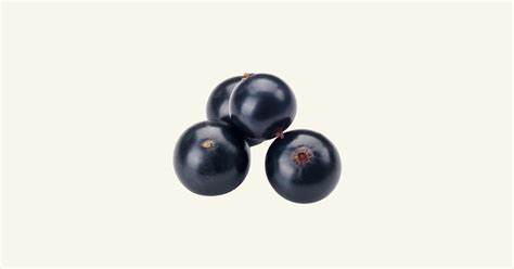 Cassis パティシエ手帖