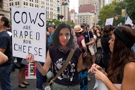 Isabel Moreira Uma Comissária Política Do Totalitarismo De Veludo