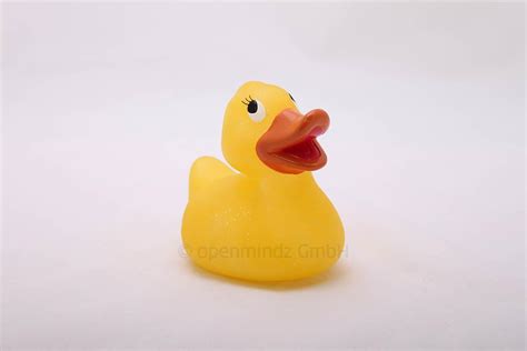 Gudrun Glitzer 167de Entenwelt®