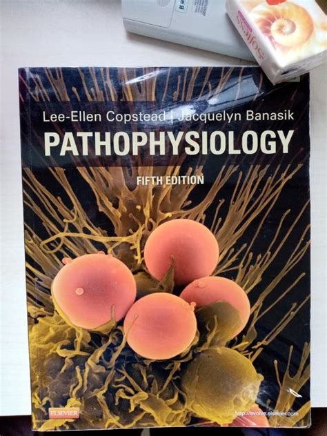 Pathophysiology Textbook 5th Edition Hobbies And Toys Books And Magazines