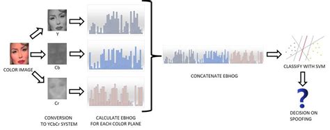 Proposal For Face Anti Spoofing System Based On Entropy Based Histogram
