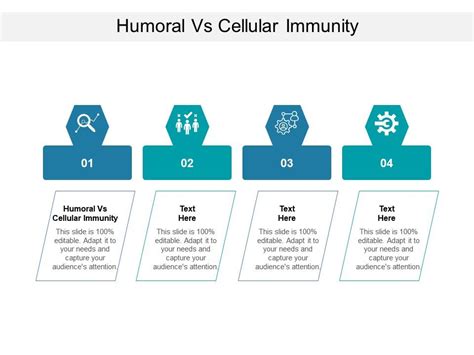 Humoral Vs Cellular Immunity Ppt Powerpoint Presentation Infographic