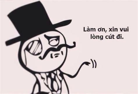 30 Meme Cút đi Mời Cút Cút Ra Ngoài Cút Ngay Hài Hước Nhất