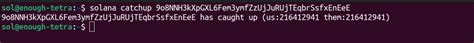 how to run a solana node cherry servers