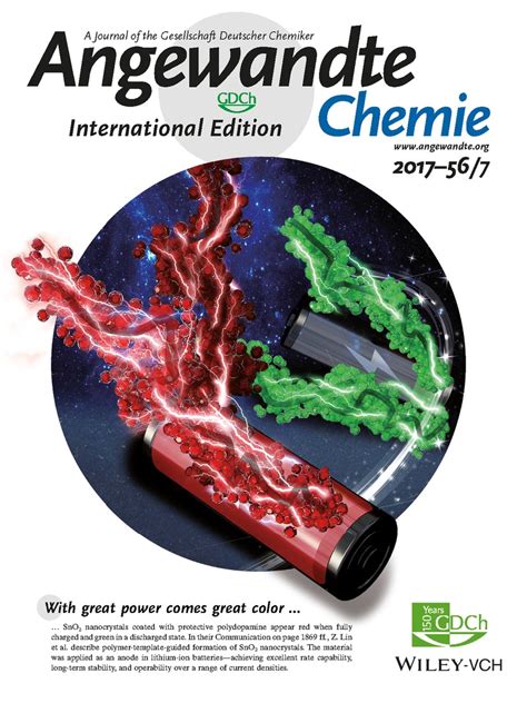 Back Cover Polymer‐templated Formation Of Polydopamine‐coated Sno2 Nanocrystals Anodes For