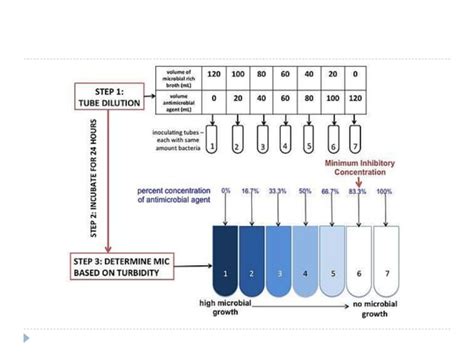 Antibiotics Sensitivity Testing 1 Pptx