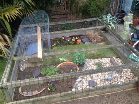 Heated Tortoise Enclosure At James Goldsbrough Blog