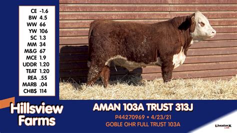 Hillsview Farms Lot 313j On Vimeo