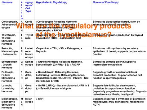 University Of Texas El Paso University Of Massachusetts At Boston Ppt