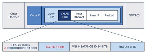 BGP EVPN VXLAN Configuration Guide Cisco IOS XE X Catalyst Switches Configuring