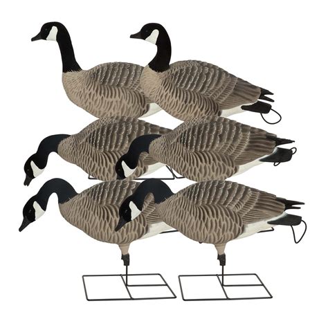Ghg Decoy Systems Pro Grade Xd Series Full Body Canada Goose Decoys