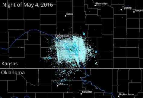 How The Suns Solar Maximum Will Affect Birds Migration