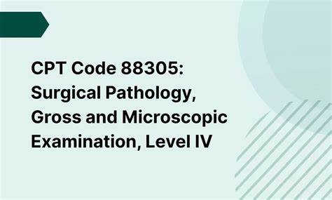 Cpt Code 88305 Surgical Pathology Gross And Microscopic Examination