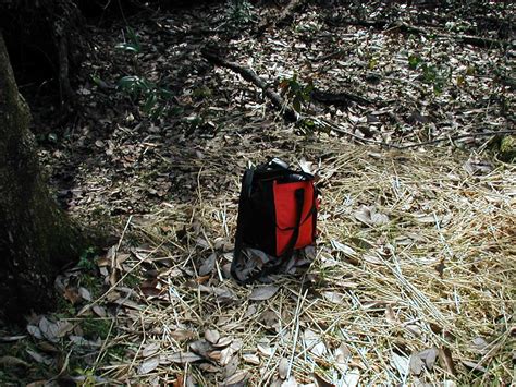 Elevation Map Of Baldwin County Al Usa Elevation Finder Topographic