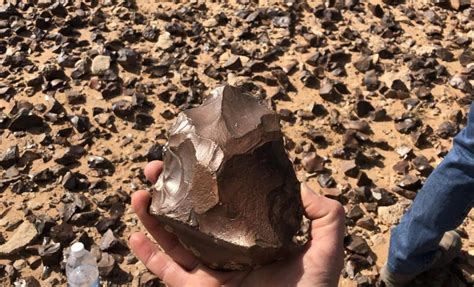 A 15 Million Year Old Treasure Trove Of Stone Tools Has Been