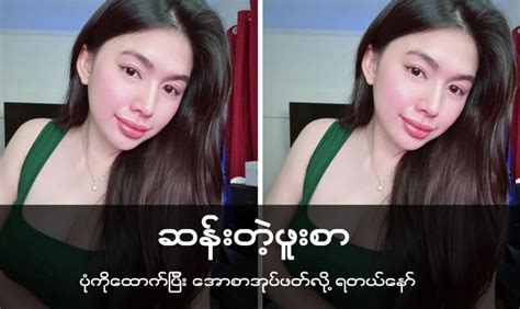 Story Page 30 ဖောင်းဒိုင်းစာအုပ် အပြာစာအုပ် အောစာအုပ်များ