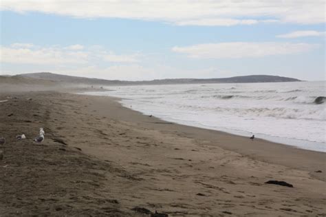 North Salmon Creek Beach In Bodega Bay Ca California Beaches