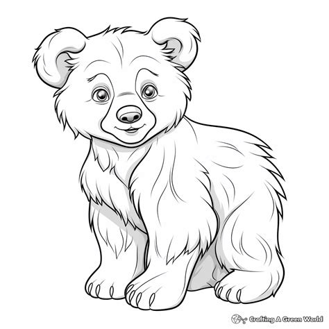 Bear Cub Coloring Pages Free And Printable