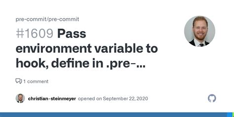 Pass Environment Variable To Hook Define In Pre Commit Config Yaml Issue Pre Commit