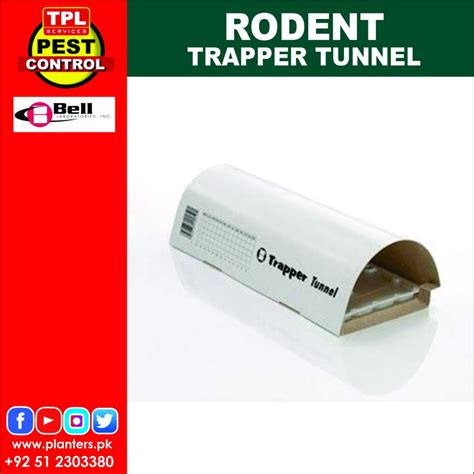 Roach And Lizard Glue Trap Planters Pvt Ltd