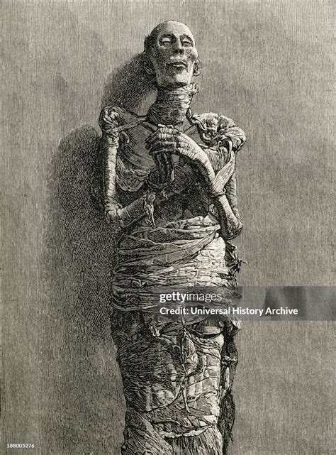 The Mummy Of Ramesses Ii Reigned 1279 Bc To 1213 Bc Aka Ramesses The