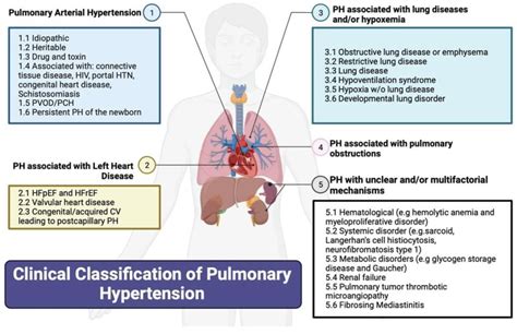 Doçdr Acemal Pazarlı On Linkedin Clinical Classification Of