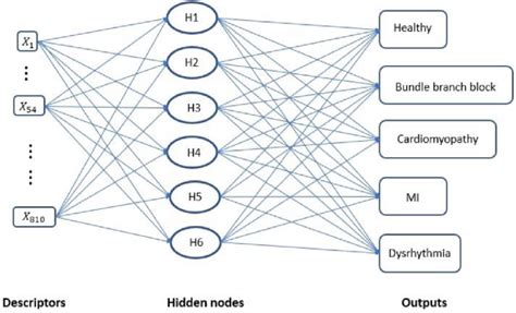 The Structure Of Fully Connected Neural Network With One Hidden Layer