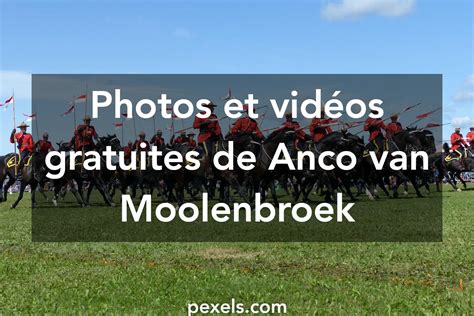 Anco Van Moolenbroek Photographie