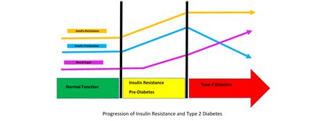 Whats Insulin Resistance Mean Causes Symptoms And Prevention
