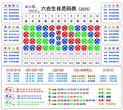《大三巴》澳门攻略，火爆来袭！