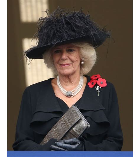 Foto Camilla Parker Bowles Sempre Levantou Insinuações A Respeito Do Caráter De Meghan Segundo