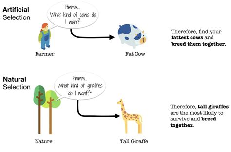 Evolution And Evolutionary Psychology Evolutionary Psychology Exploring Big Questions