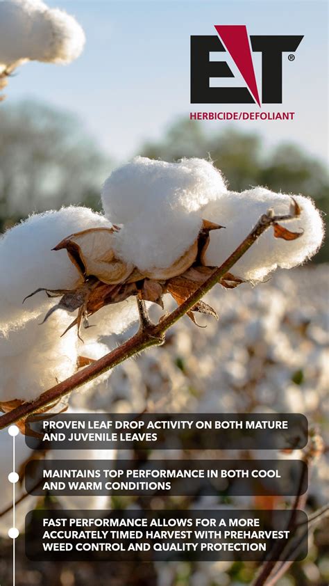 Amanda Carson Correa Posted On Linkedin