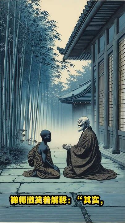 禅的故事：竹子的成长 禅意生活 Youtube