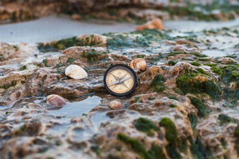 나침반은 이끼와 해초가있는 바위 위에 바다에서 파도에 젖었습니다 개념 여름 휴가 해안 목적지와 자연 산책로 개념에 대한 스톡 사진 및 기타 이미지 Istock