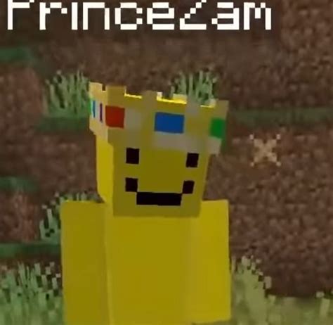 Princezam ꕀ In 2024 How To Play Minecraft Smp Steal