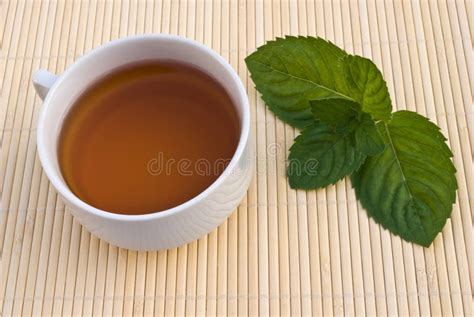 Mint Tea Stock Image Image Of Herbaceous Healthcare 11813701