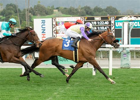 Classical Cat Returns In Oceanside On Del Mar Opener
