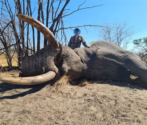 Botswana Hunting Sabudawn Safaris