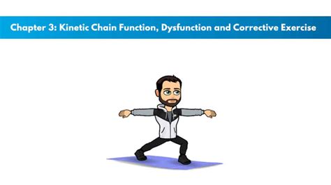 Ncsf Personal Training Study Guide Chapter 3 Kinetic Chain Function