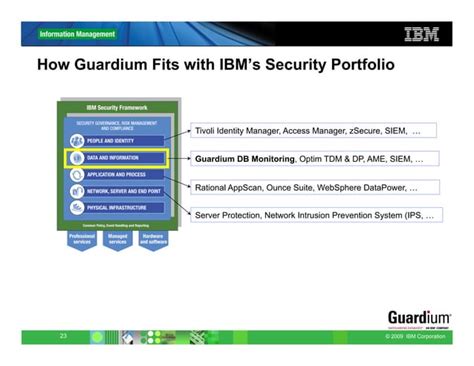 Ibm Infosphere Guardium Overview Pdf Databases Computer Software And Applications