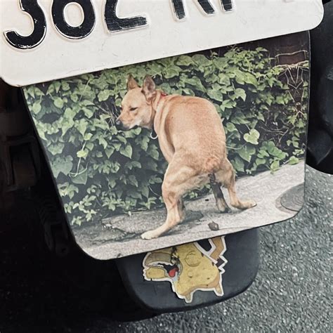 謝允 Nick 謝允 Nick Added A New Photo — At 321巷眷村藝術村 謝允 Nick 謝允 Nick Added A New Photo — At 321巷眷村藝術村