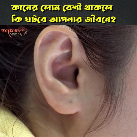 কানের লোম বেশী থাকলে কি ঘটবে আপনার জীবনে কানের লোম বেশী থাকলে কি ঘটবে আপনার জীবনে By Alor