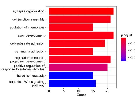 Bayesian Learning Artificial Neural Networks For Modeling Survival Data