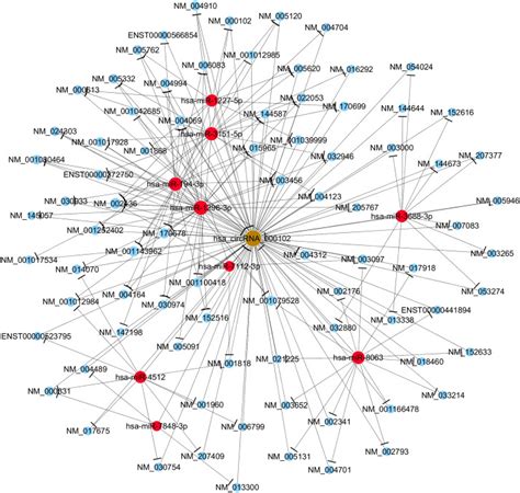 Microarray Profiling And Functional Analysis Of Differentially Expressed Plasma Exosomal