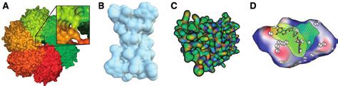 Molecular Surface Representations A Molecular Surface Defined By