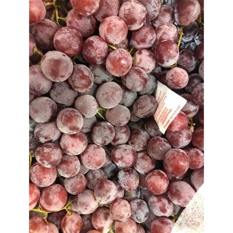 Jual Anggur Merah Anggur Red Globe Aussie 500 G Shopee Indonesia