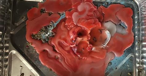 Results For Interpretation Album On Imgur