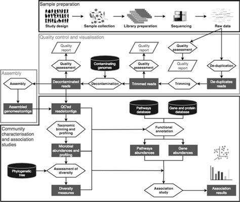 Metagenomics Analysis Pipeline Hexagons Represent The Analysis Steps