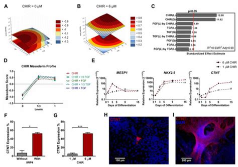 Bioengineering Special Issue Stem Cell And Biologic Scaffold